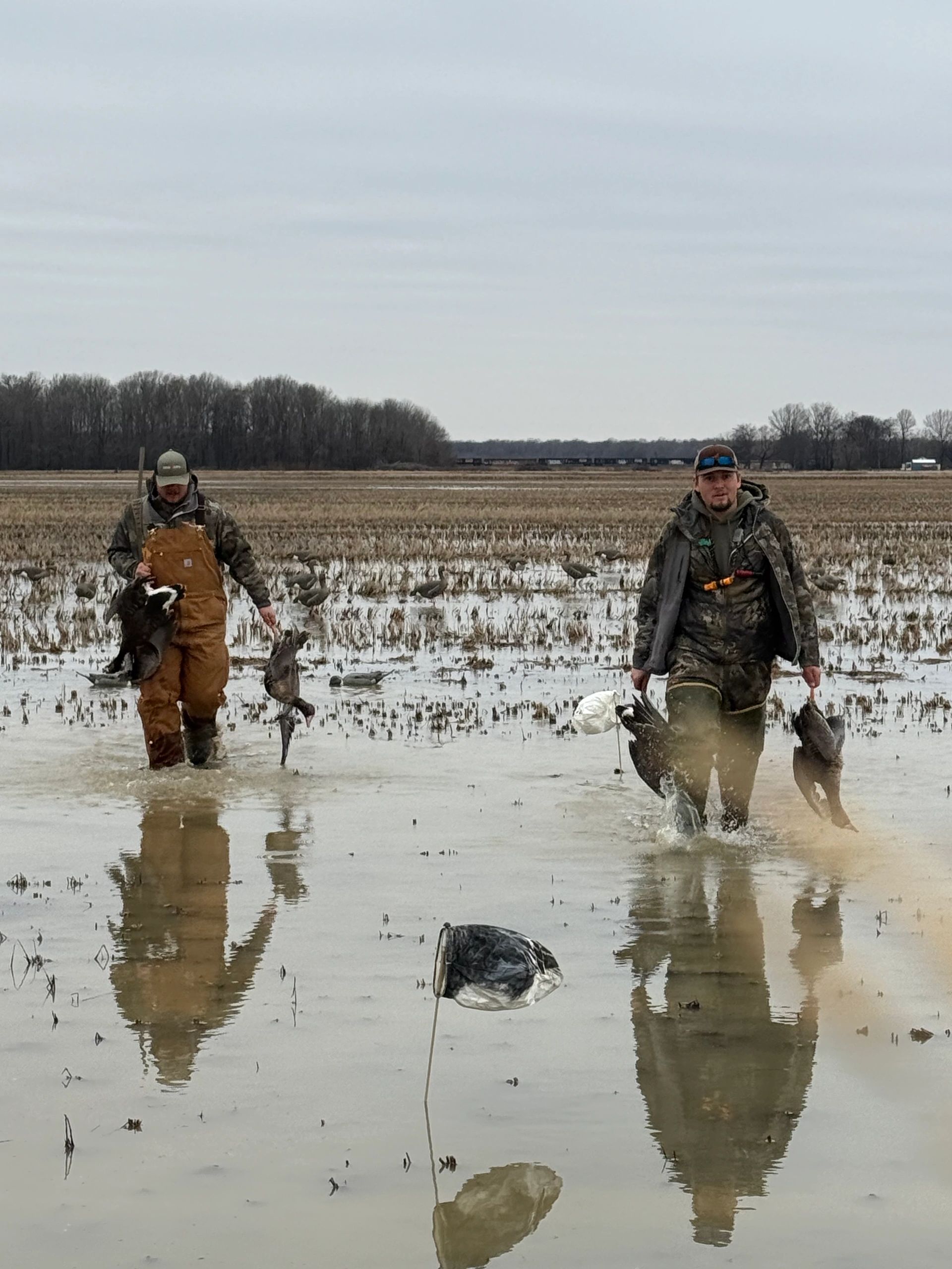 Guided Duck Hunts: Experience the Thrill of Southeast Missouri Waterfowl