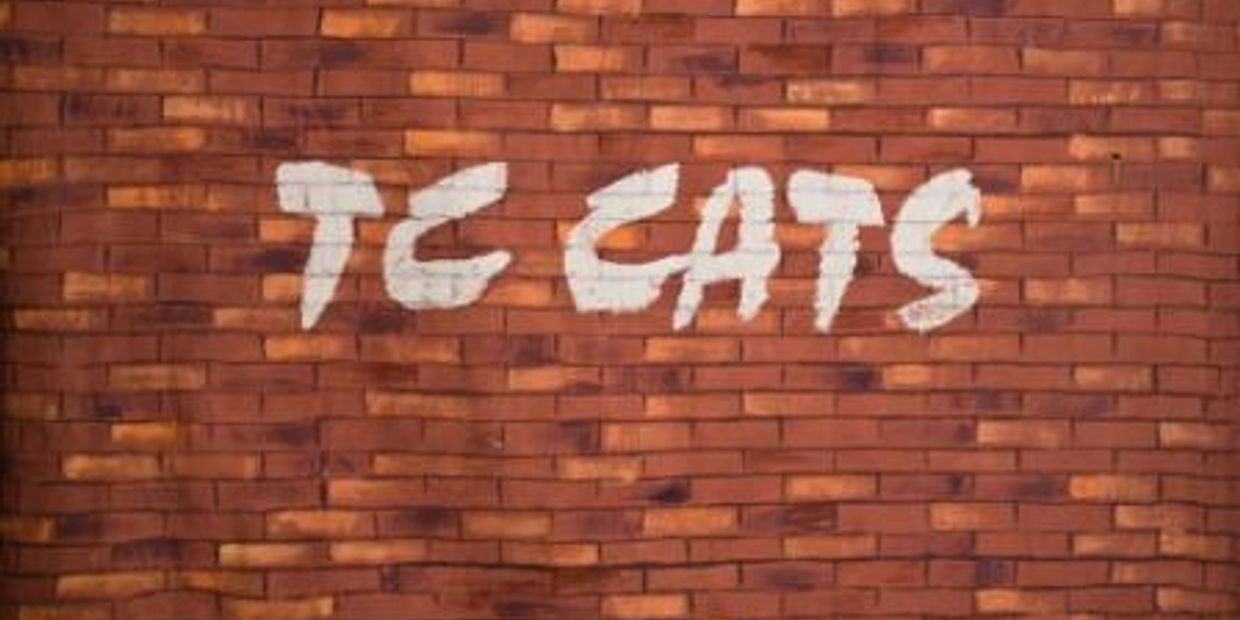 TC Cats