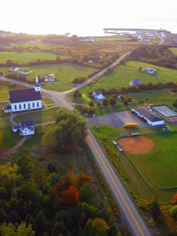 Lobster Roll Pre-Orders