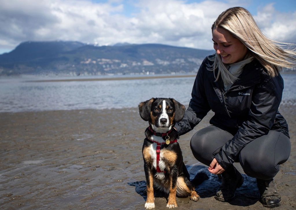 Positive Paws Training