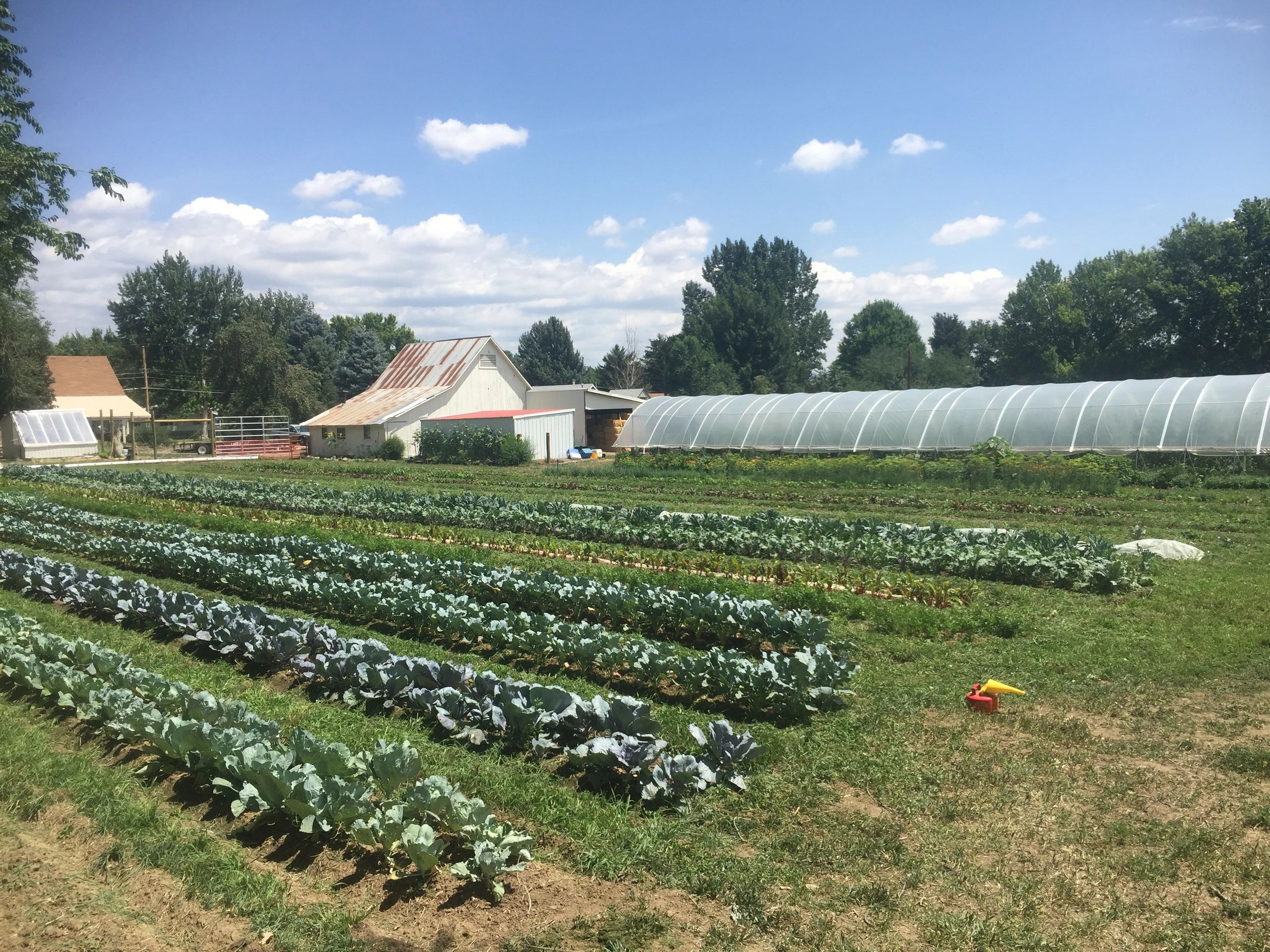 New Roots Farm - Home