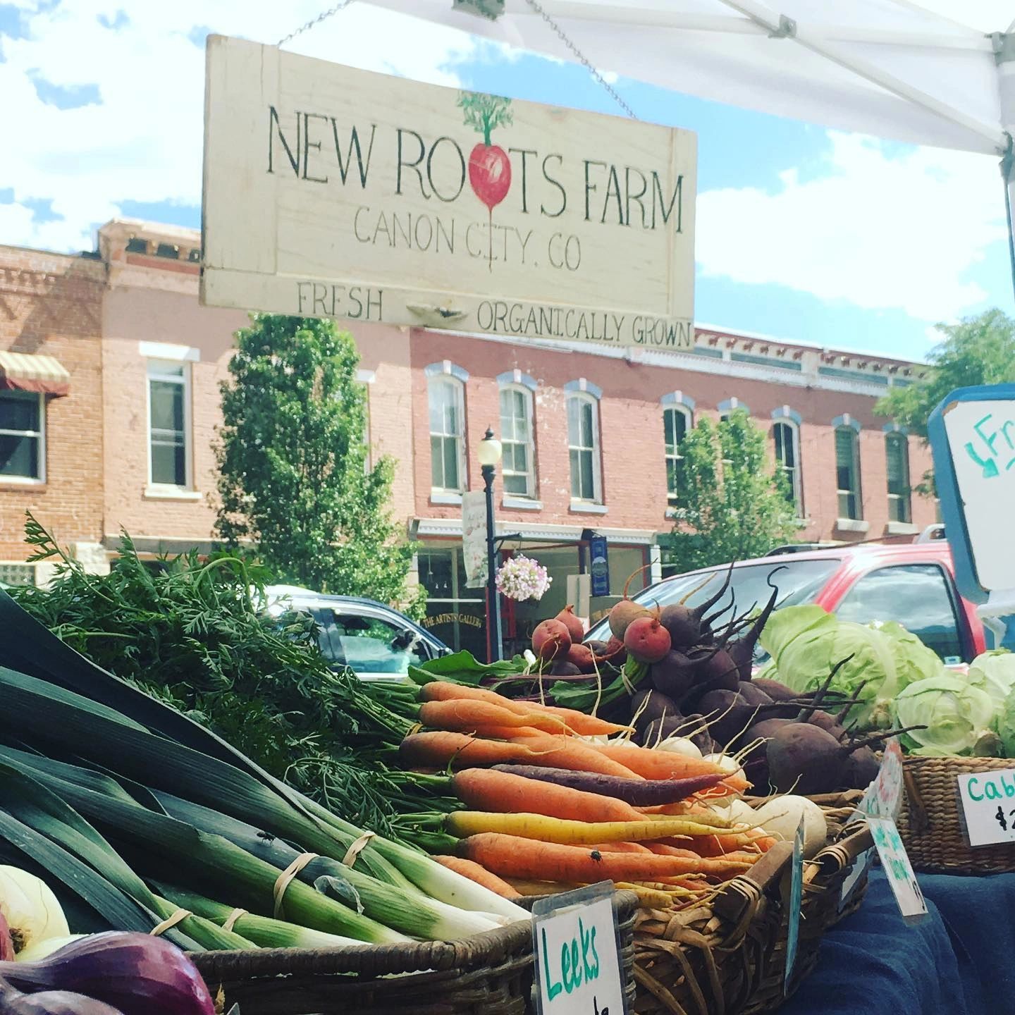 New Roots Farm - Home