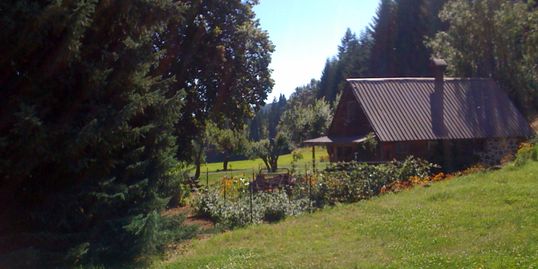 Trout Lake Cabin Rental - Lodging, Lodging, Vacation Rental, Cabin