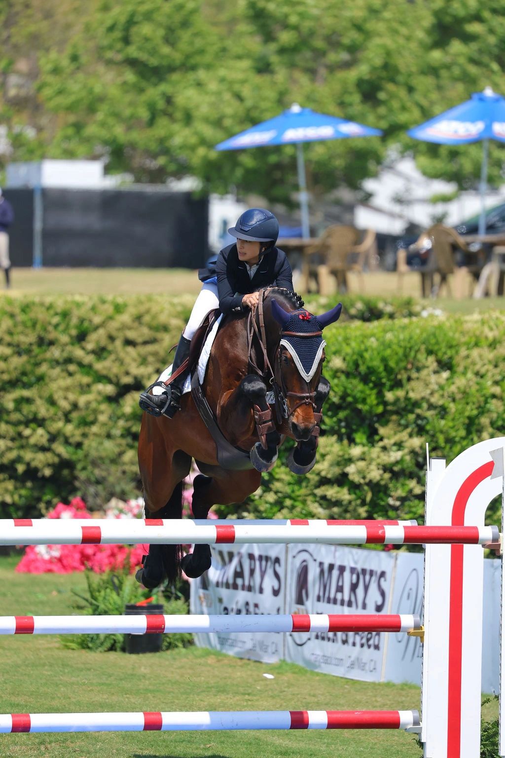 Caliber Show Jumpers LLC