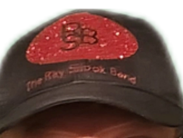 The Offical Ray Shook Band Site