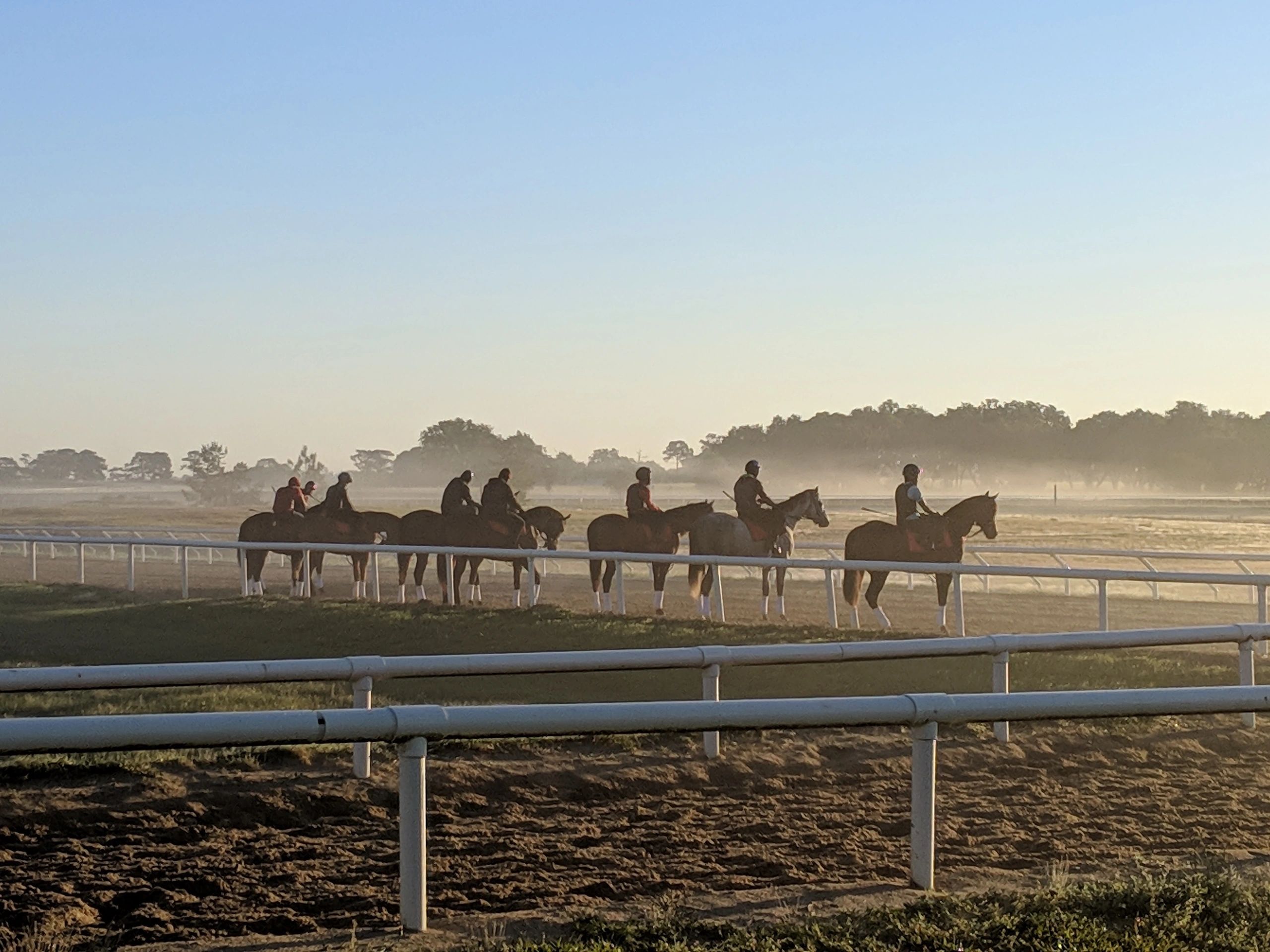 Exciting Thoroughbred Racing at Sea Warrior Stables