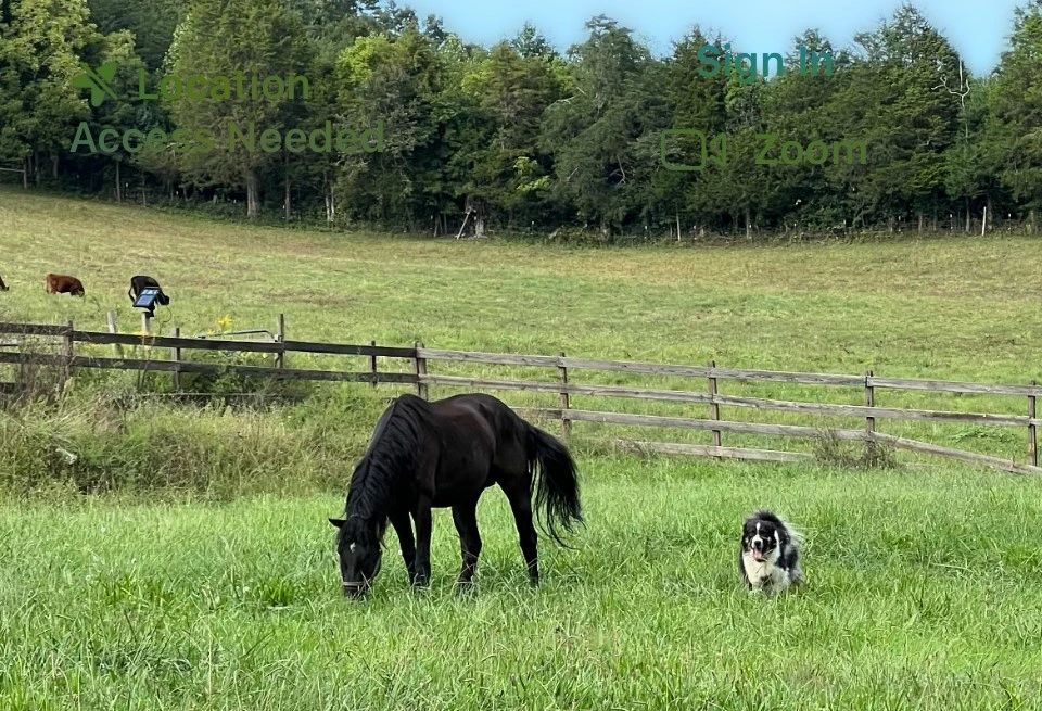 Take A Chance Farms, Inc.