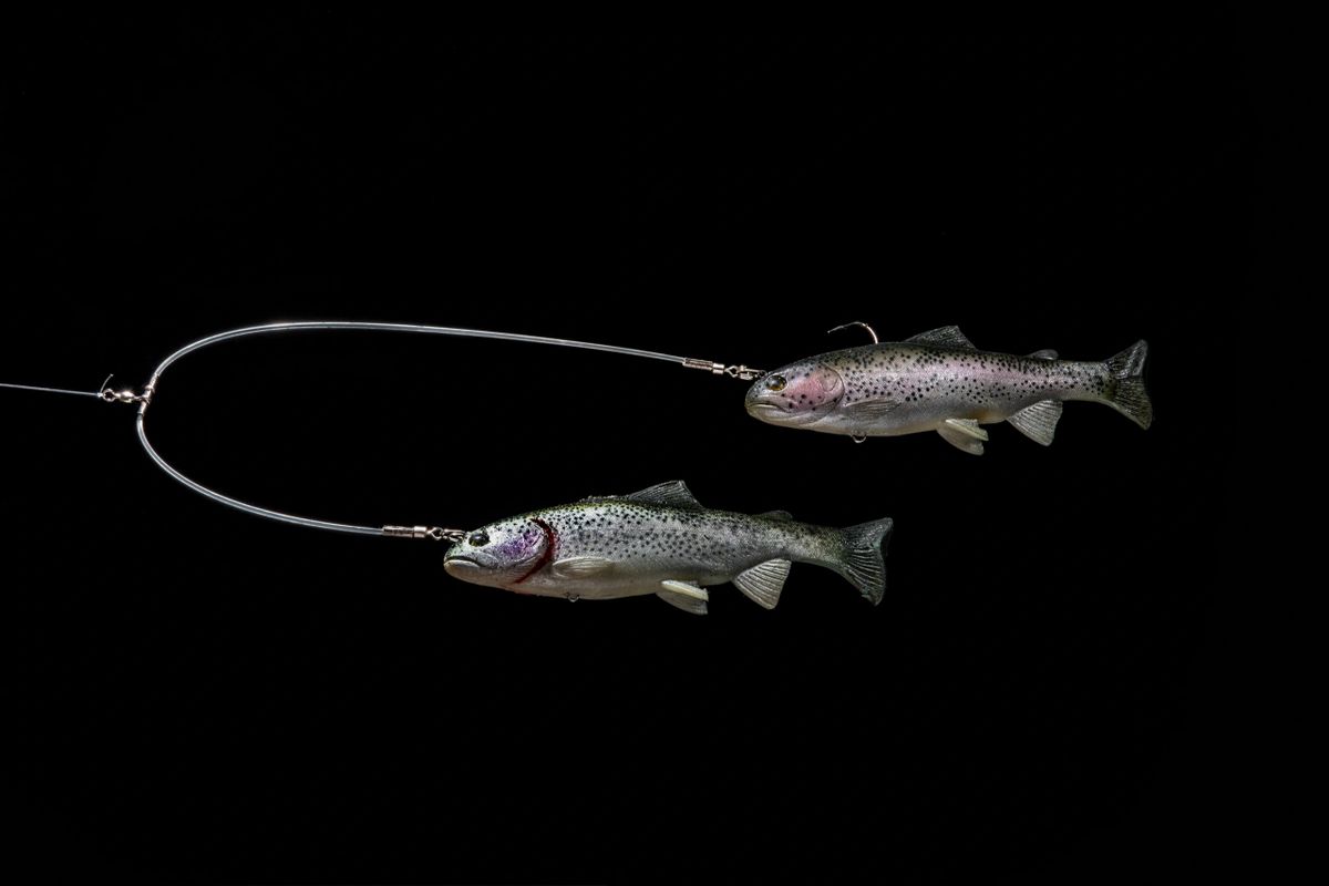 Clear Double Rig (CDR)