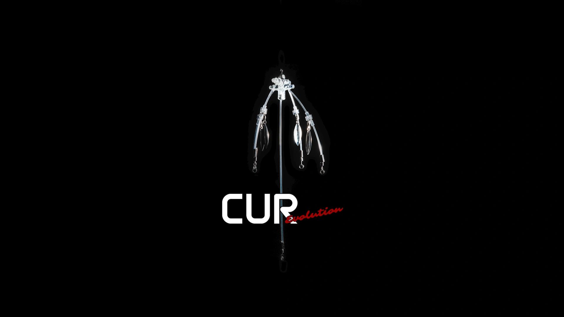 cur-evolution