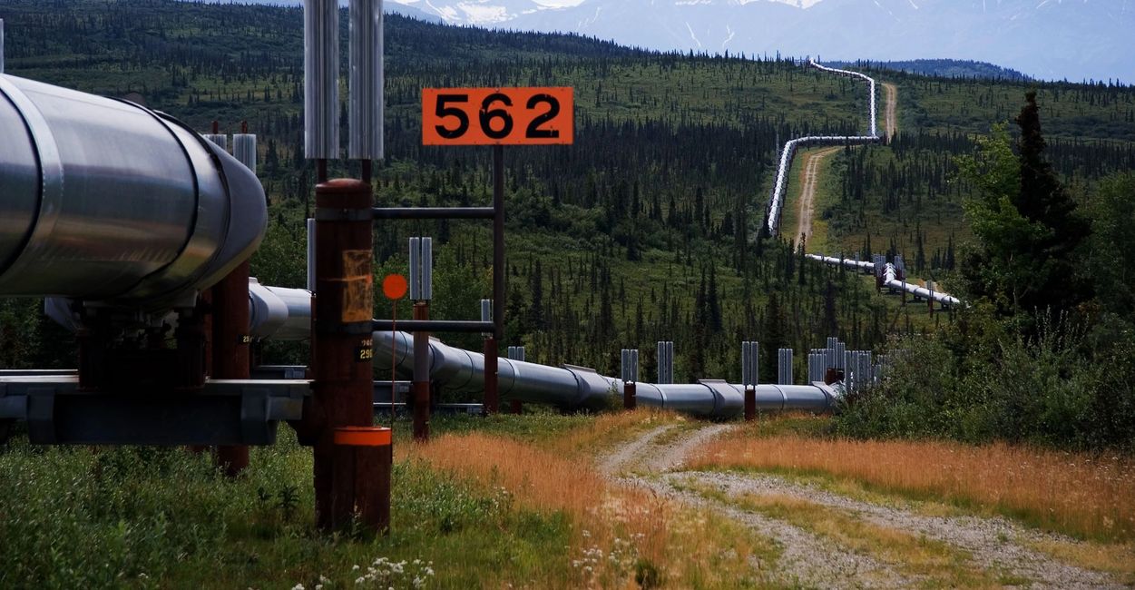 IBM Linear Assets | Lynx Consulting Group