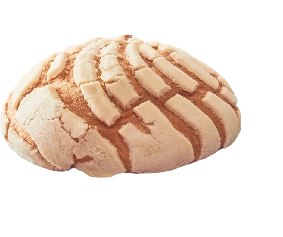 Conchas Conchas