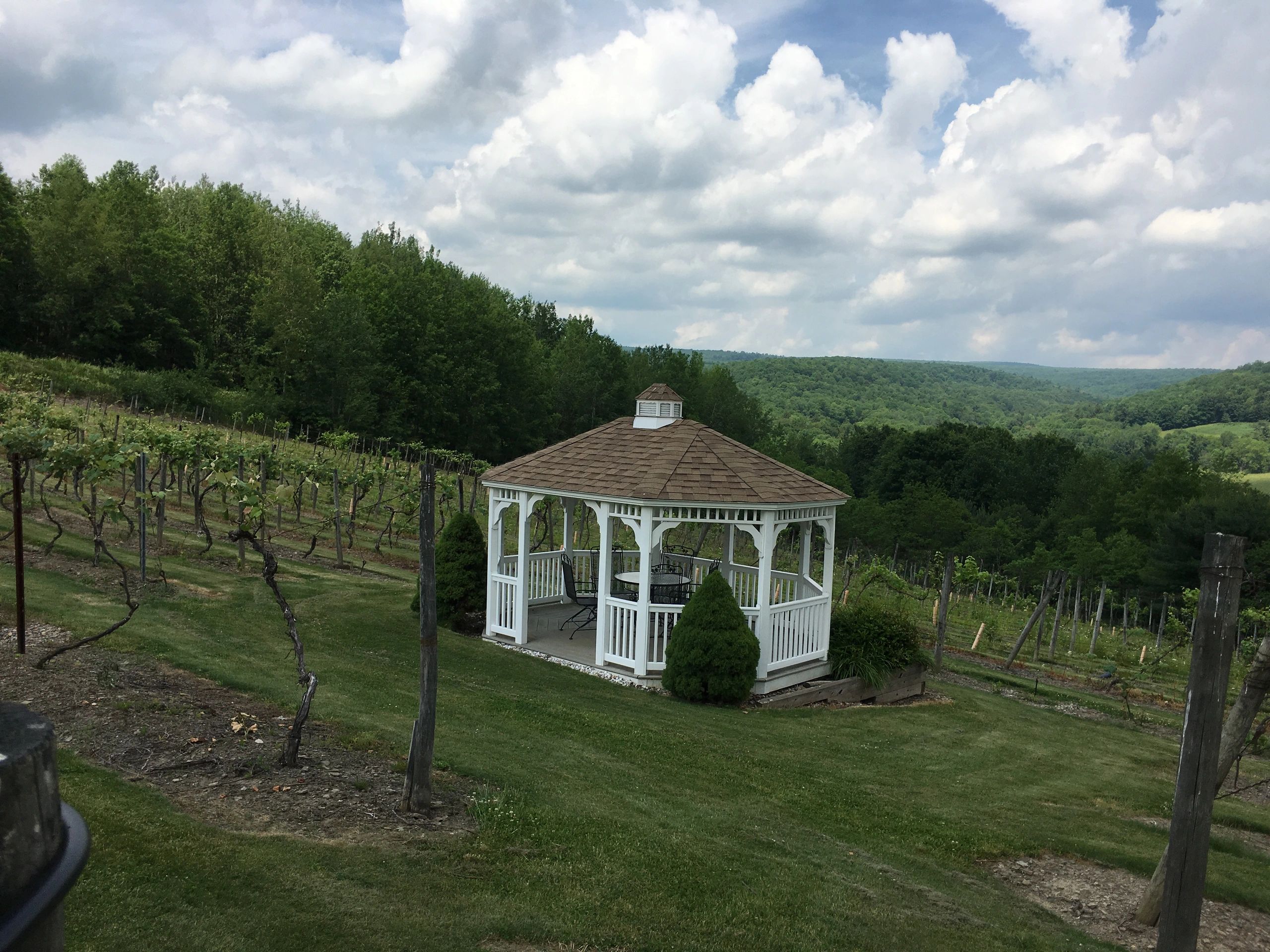 Locations | Starr Hill Vineyard & Winery