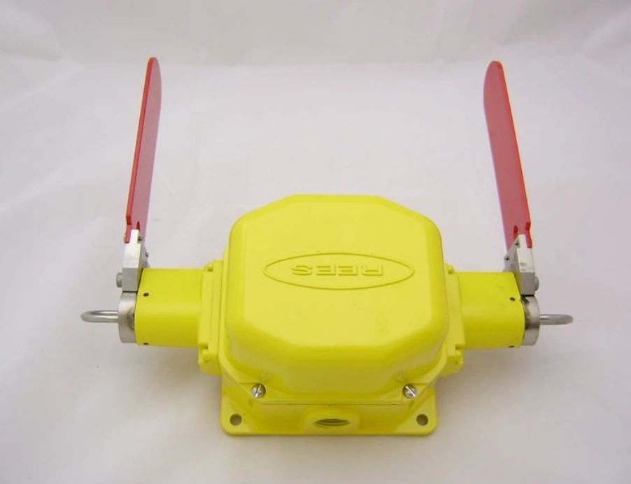 REES - 04954-202, Cable Operated Switches with Double Flag Indicator(s ...