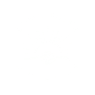 Soul Wave Holistics, Sound Bath Sacramento, Sound Healer Training
