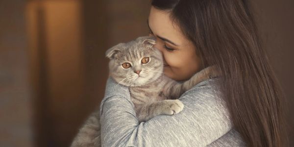 Rehome® - Rehome, Rehoming Service, Rehome a Pet, Rehome