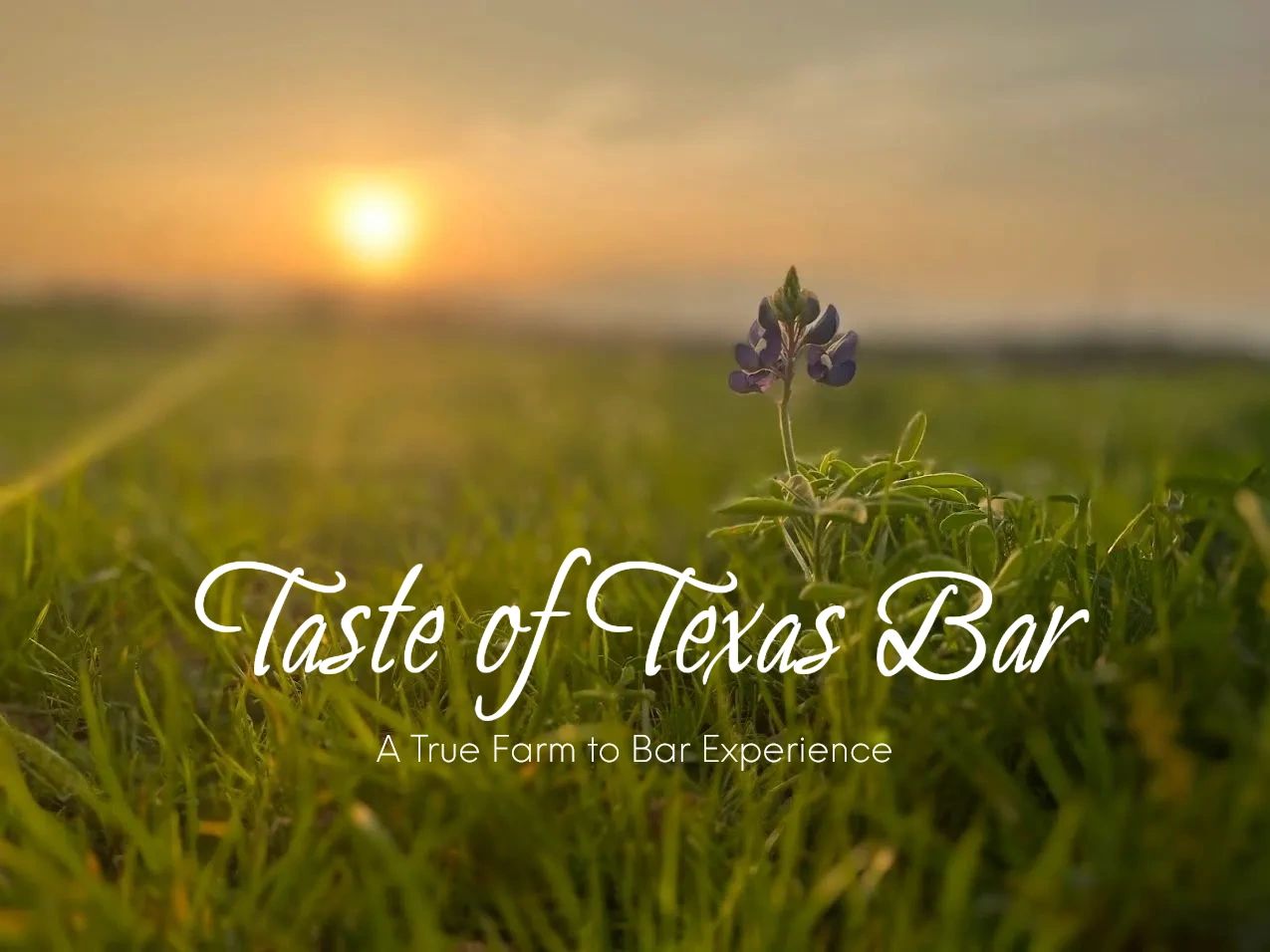 Taste of Texas Bar