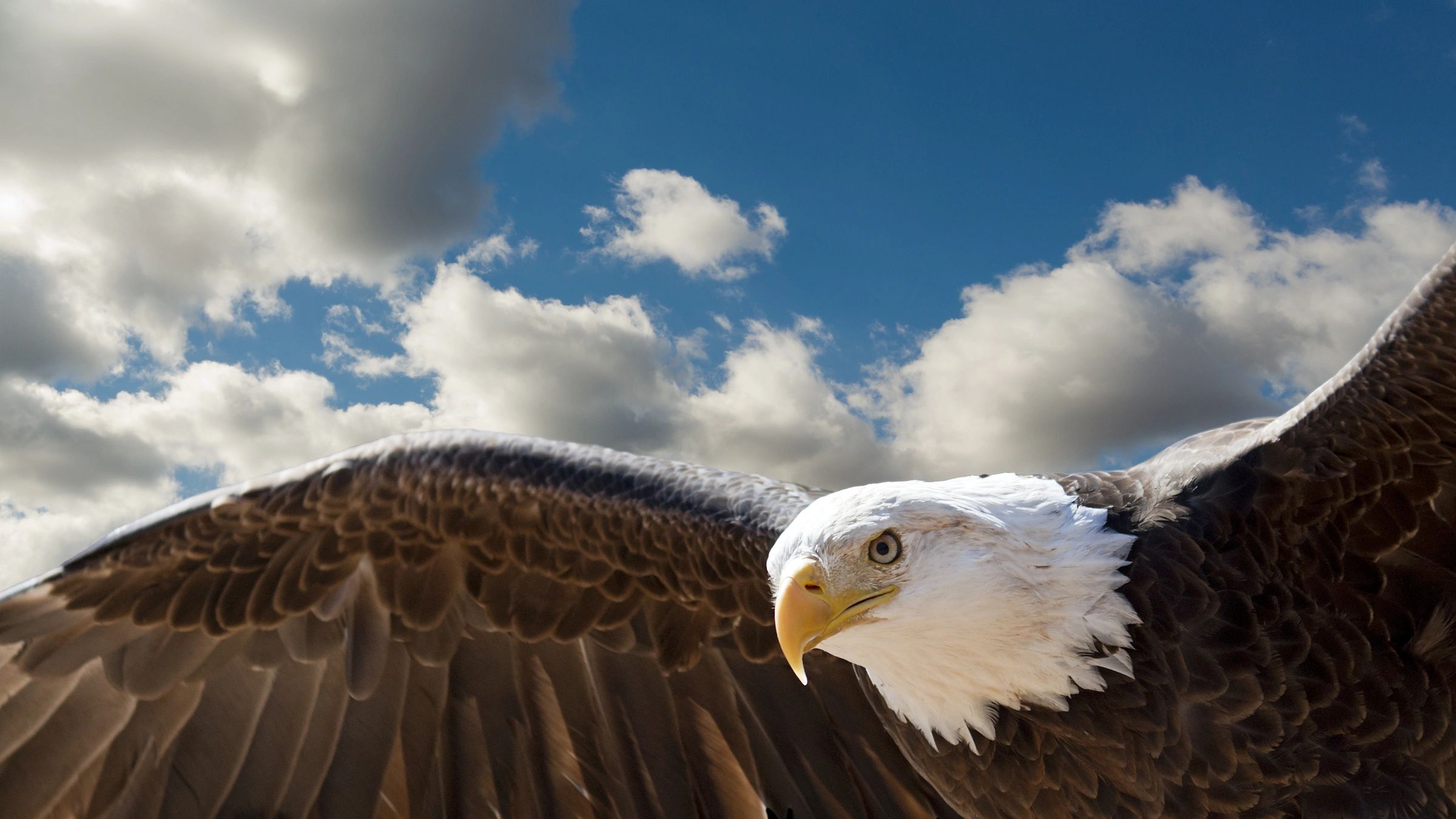 Eagle Retreats