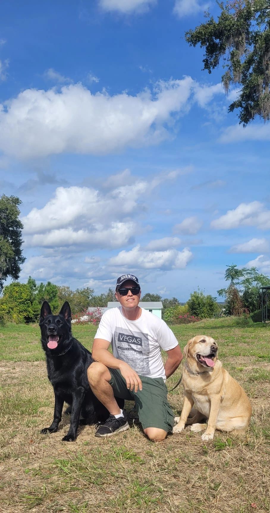 Effective Dog Training for Your Puppy
