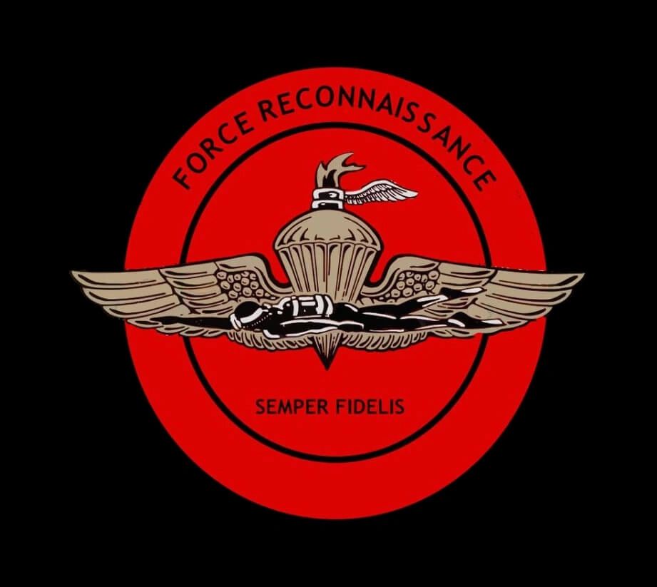 Force Recon (USMC) in Vietnam: An In-Depth Look
