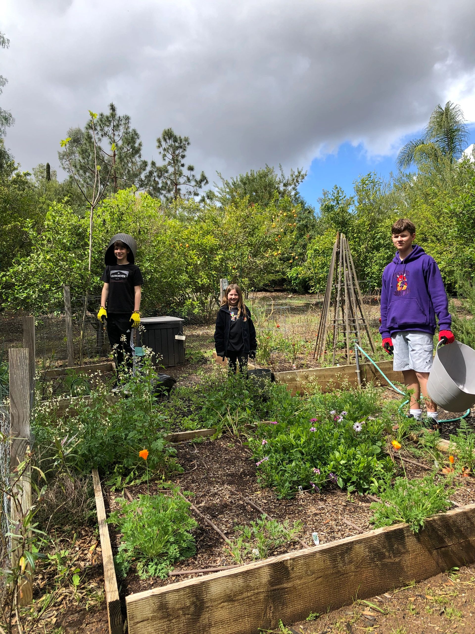 Homeschool Gardening - School, Garden, Education | Homeschool Gardening