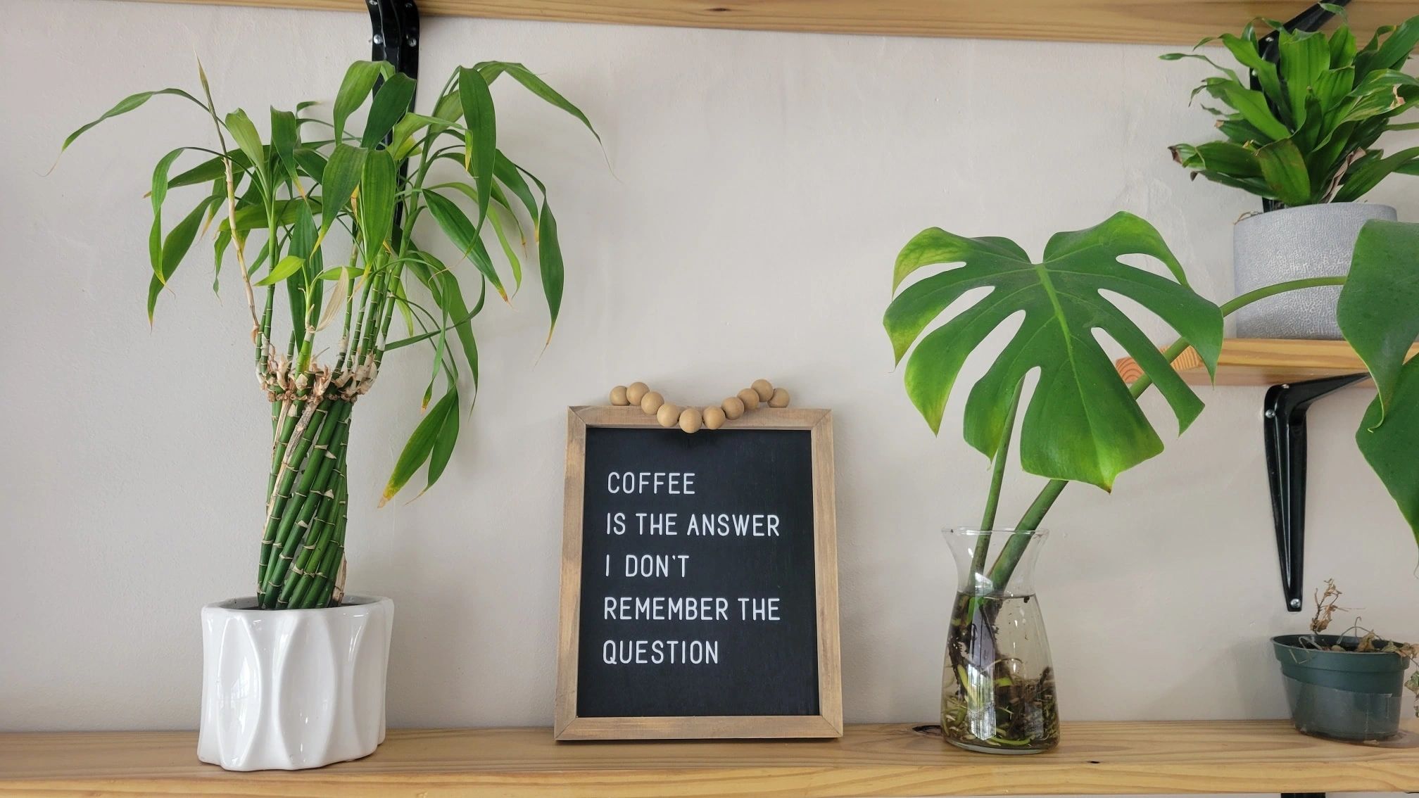 Blend Cafe in Jacksonville, North Carolina