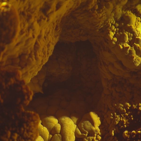 Astrobiology - Early College Astrobiology Laboratory