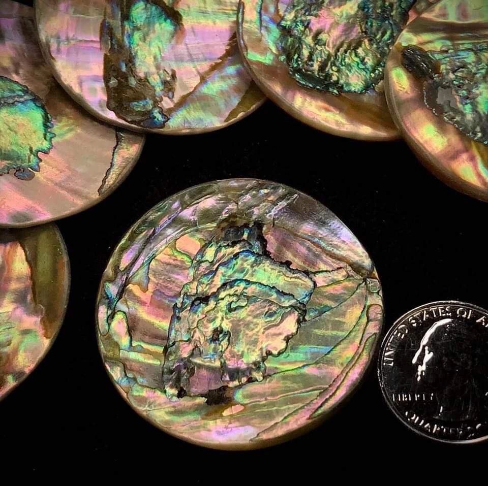 Natural Red Abalone Disc