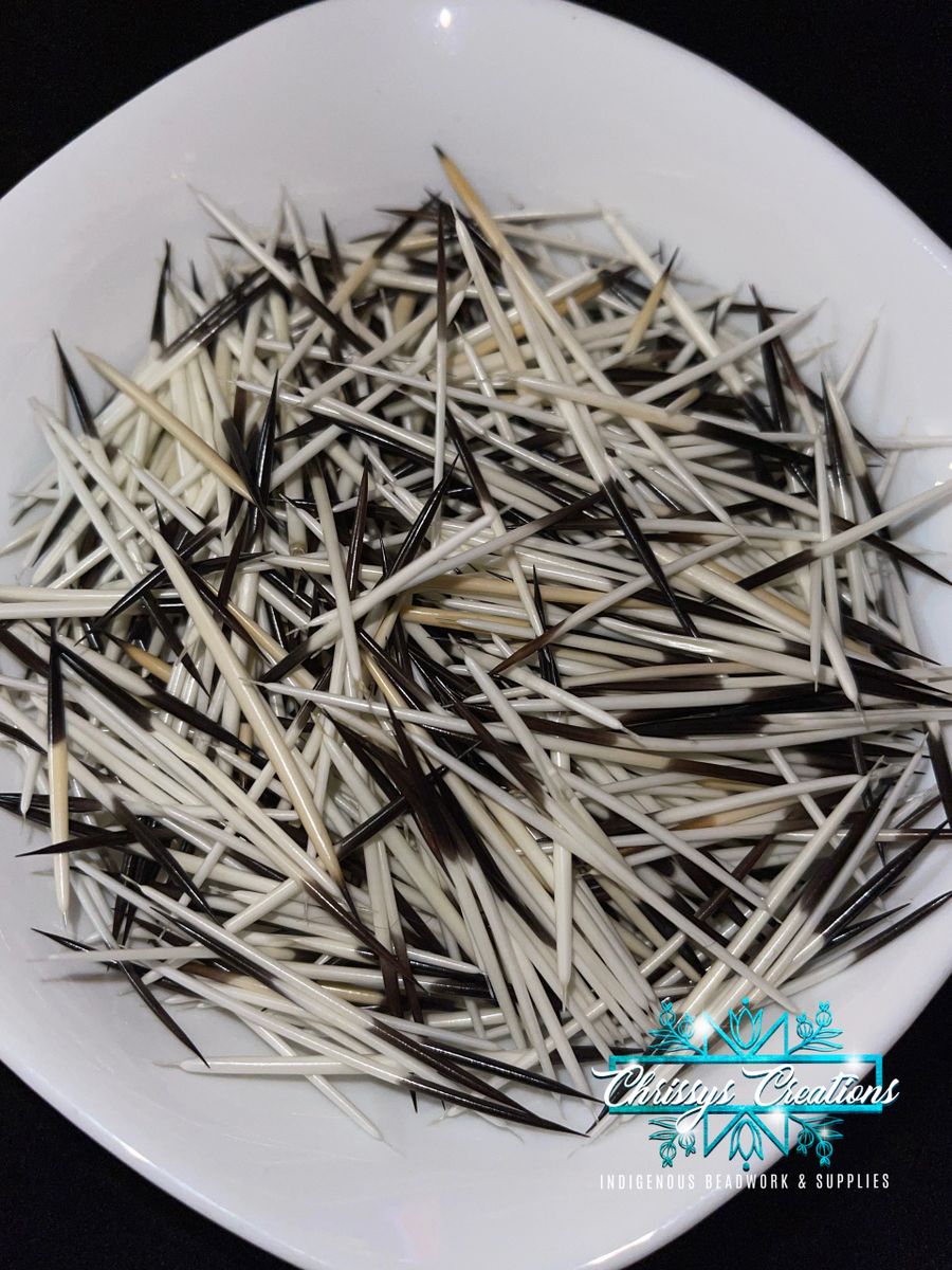 Authentic American Porcupine Quills