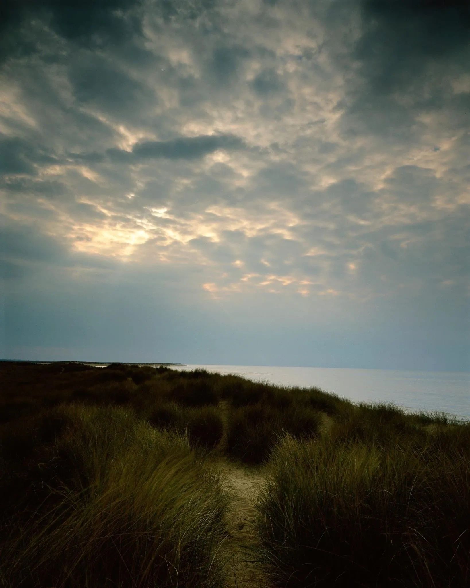 Home [www.pamsander.com]