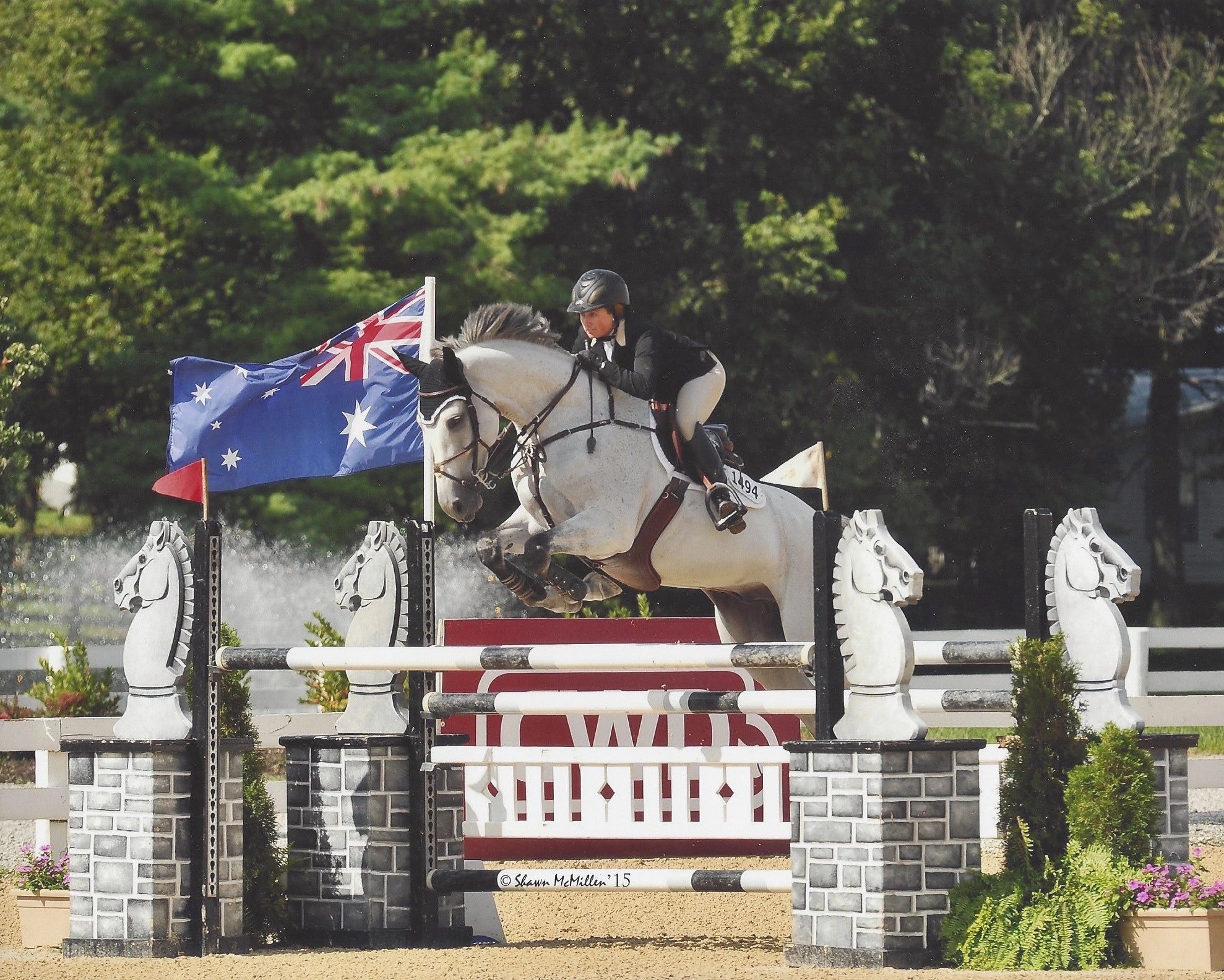 Horse Training & Riding Lessons in Columbus, Ohio