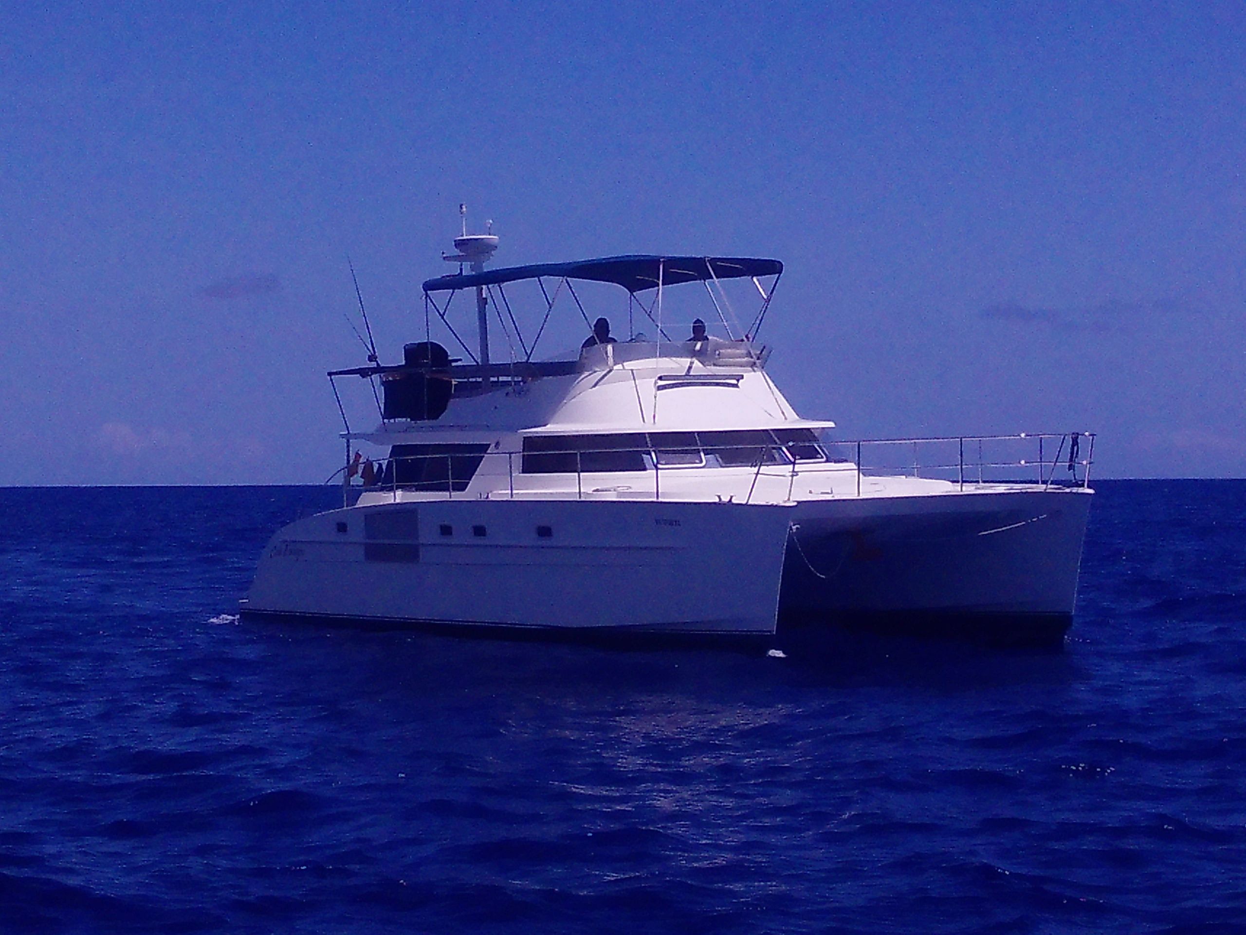 Ninja the boat dog. | Living the dream