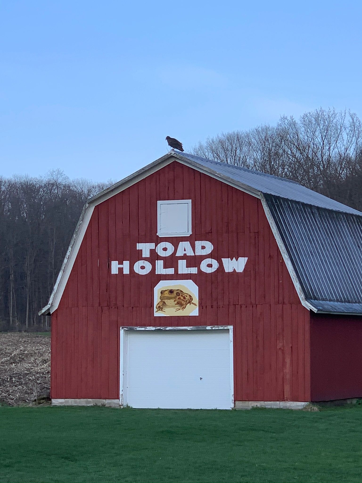 Toad Hollow