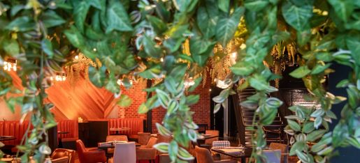 A Cut Above Bar and Grill - Home