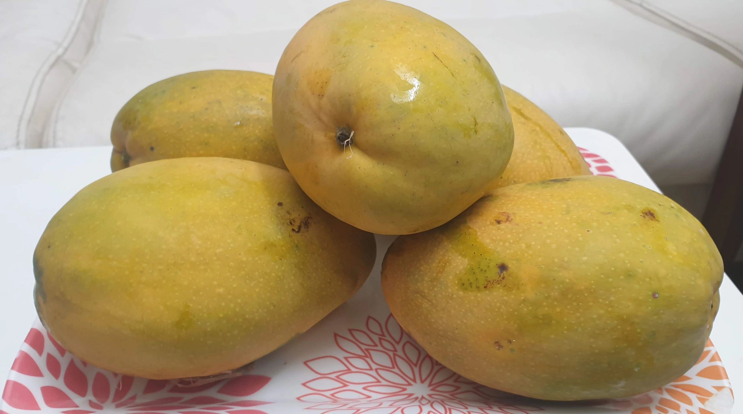 Buy Mangoes