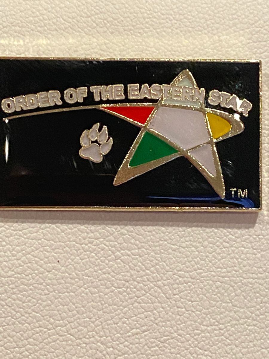 OES Shooting Star Lapel pin