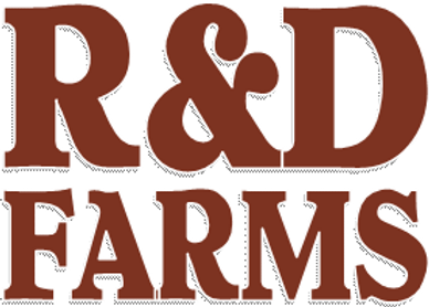 R and D Farms Braunvieh - Braunvieh, Cattle for Sale