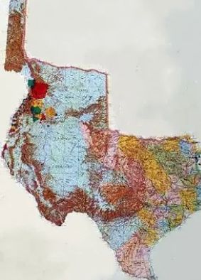 The Texas Republic