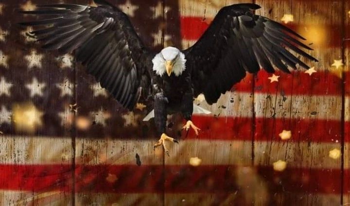 Some Self Defense Statistics