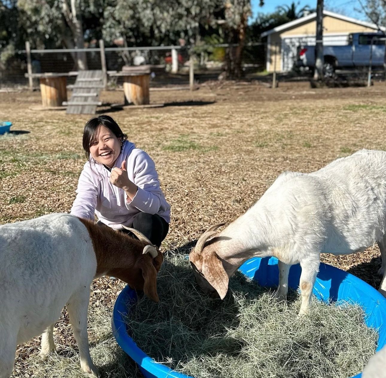A Circle of Compassion: Humans Helping Animals Who Help Humans