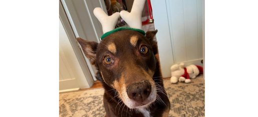 Specialised Fasteners - Rageem Fastener Co Pty Ltd