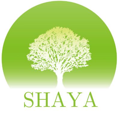 About Us | SHAYA Projects LLP