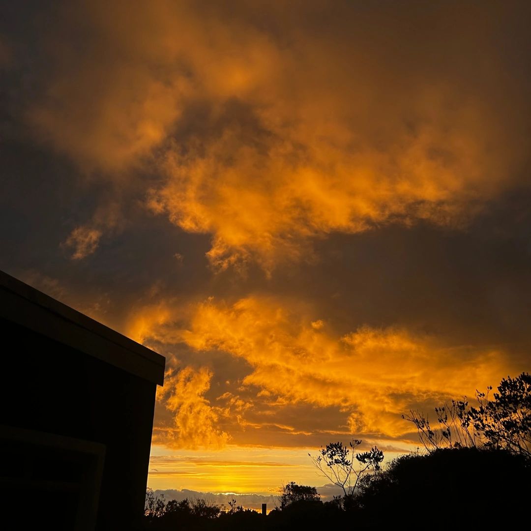 Online Counselling South Africa - Jeri-Anne Counselling