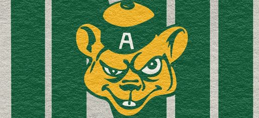 Alberta Football Camp - Golden Bears Football