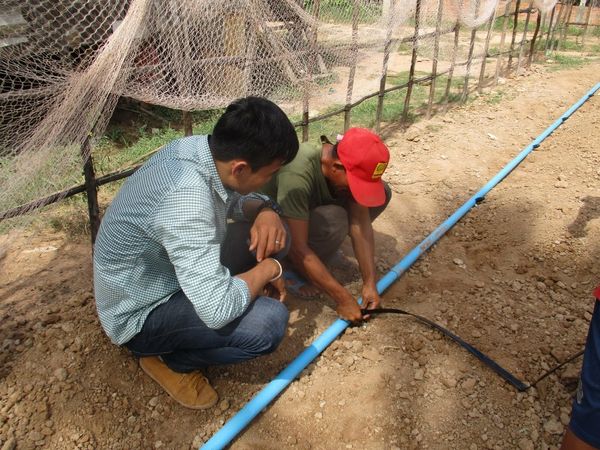 Our Four Programs | Trailblazer Foundation