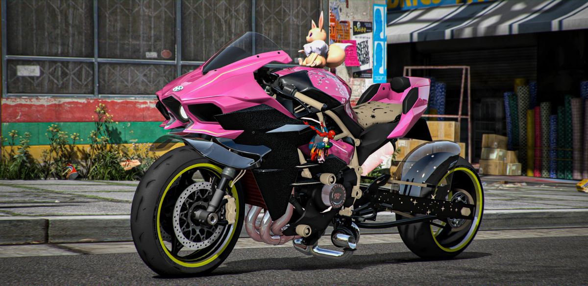 Kawasaki Ninja H2R Drag Eevee Edition