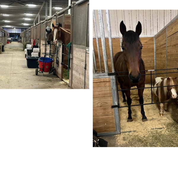 Portable Stall Fronts - Quality Equine Stalls