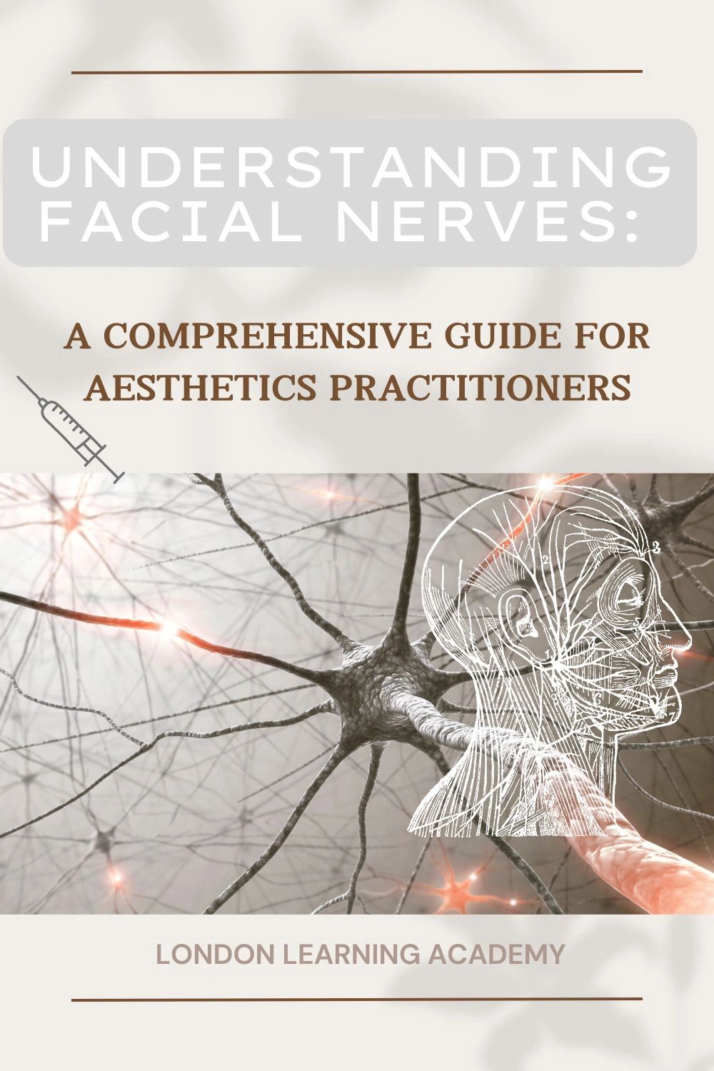 Understanding Facial Nerves: For Aesthetics Practitioners