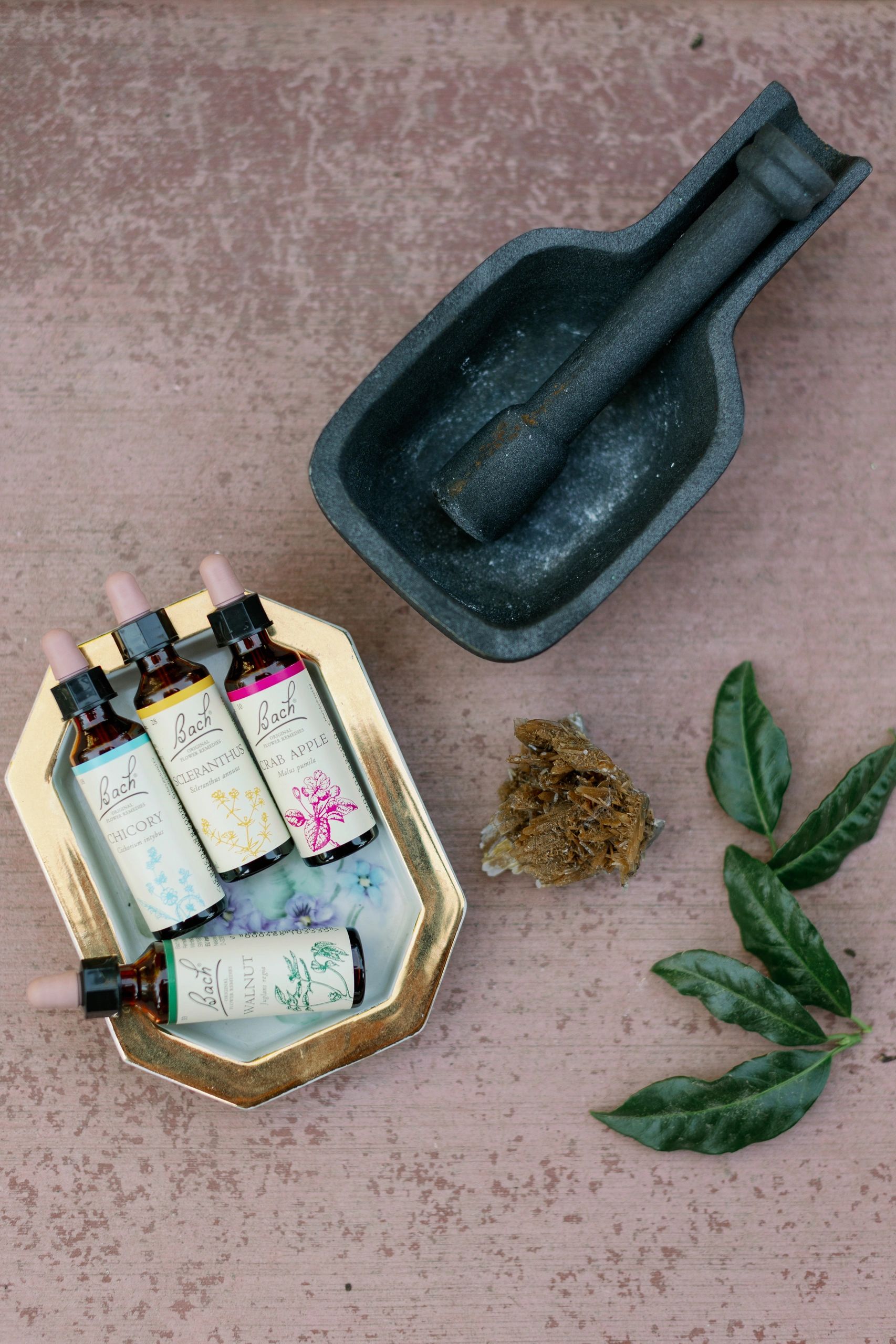 Energy Healing Courses – Alchemista Academy