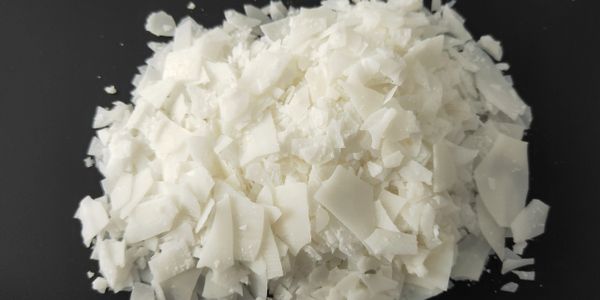 Vegetable Wax Manufacturer - WELLGO CHEMICAL TECHNOLOGY CO.,LTD