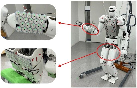 e-skin deployed on Kawasaki humanoid robot, RHP Kaleido